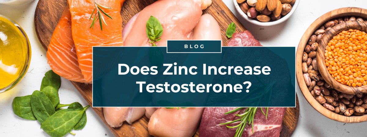 Does Zinc Increase Testosterone? | Nature's Lab