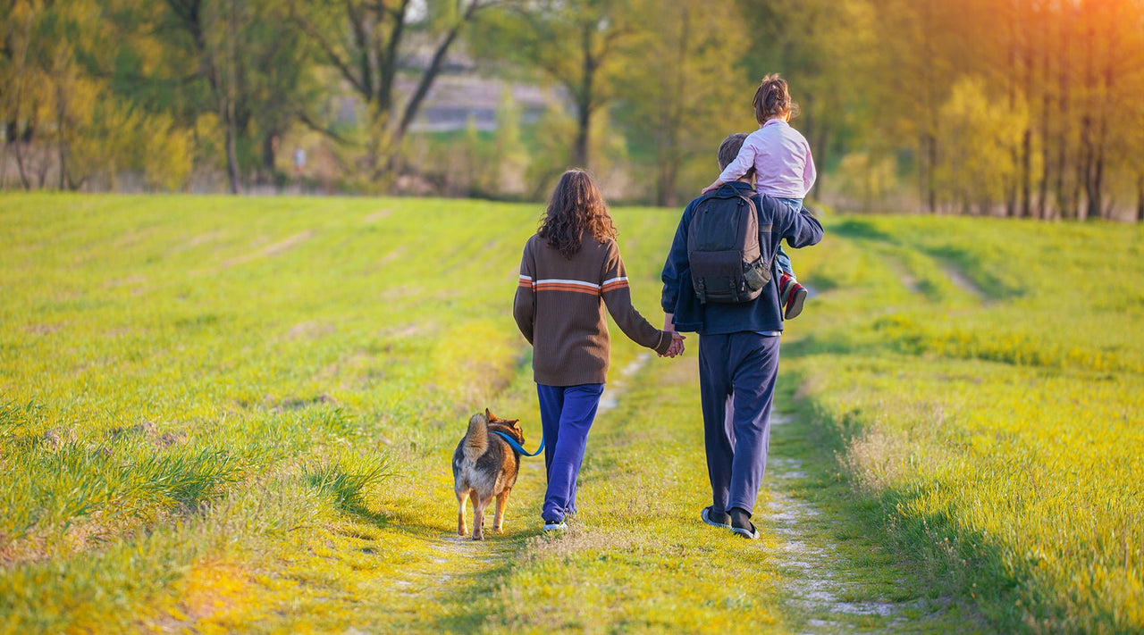 National Walking Day - The Health Benefits of Walking – Nature's Lab