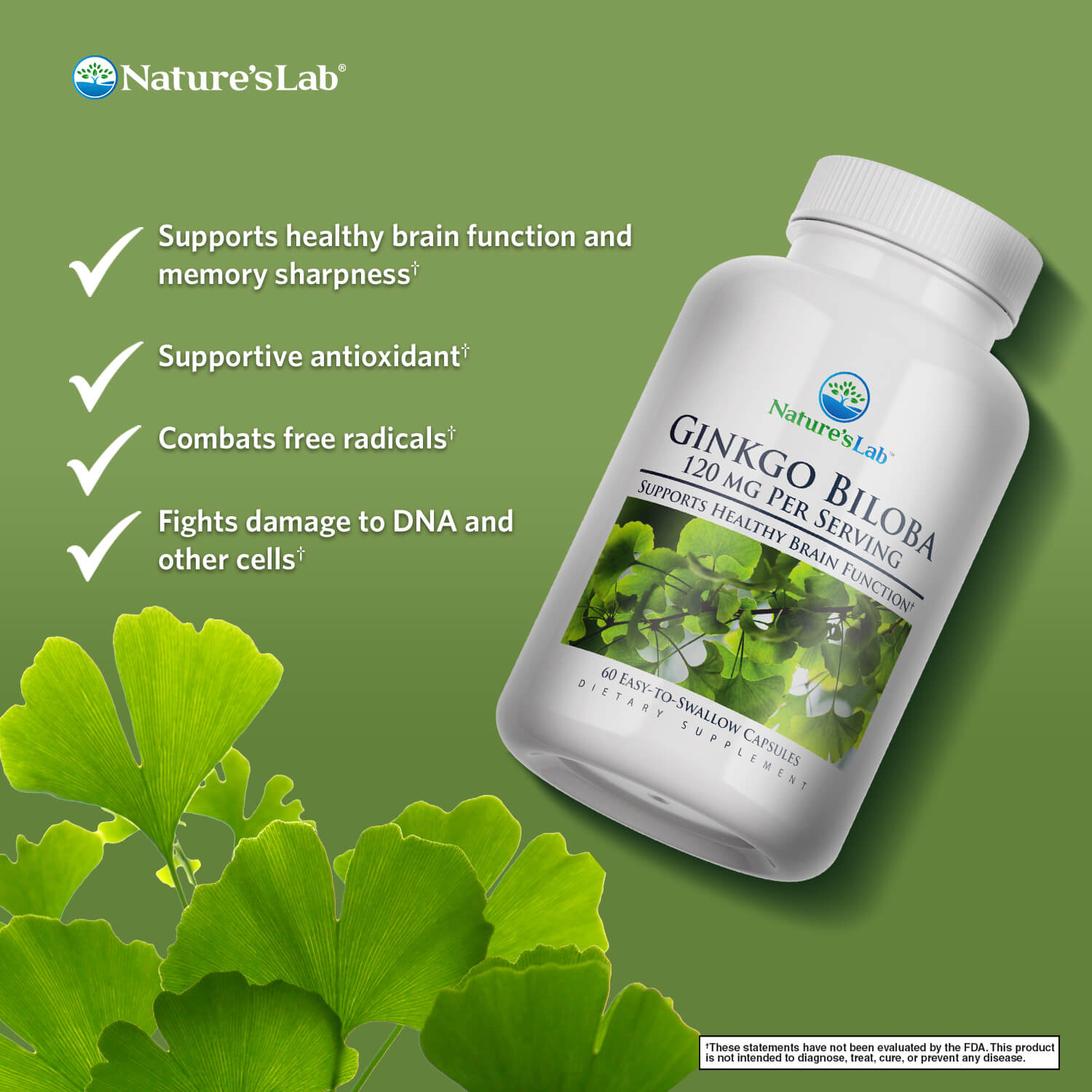 Nature's Lab Ginkgo Biloba - Promotes Healthy Brain Function*