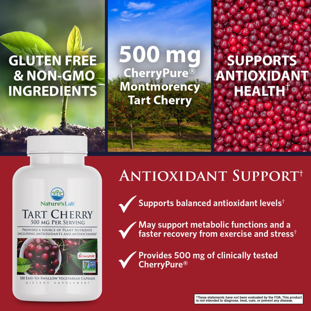 Tart Cherry Supplement | Tart Cherry Pills – Nature's Lab