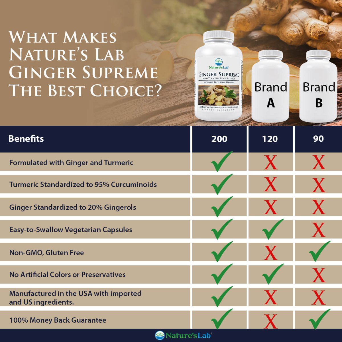 Turmeric and Ginger Supplements | Ginger Capsules – Nature's Lab