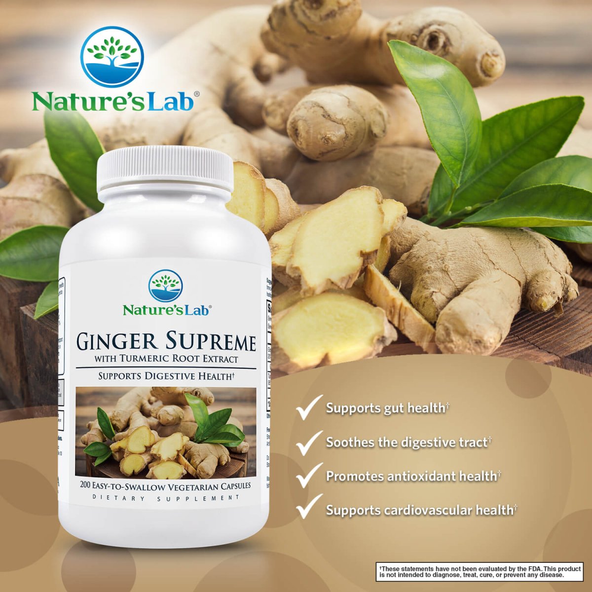 Turmeric and Ginger Supplements | Ginger Capsules – Nature's Lab