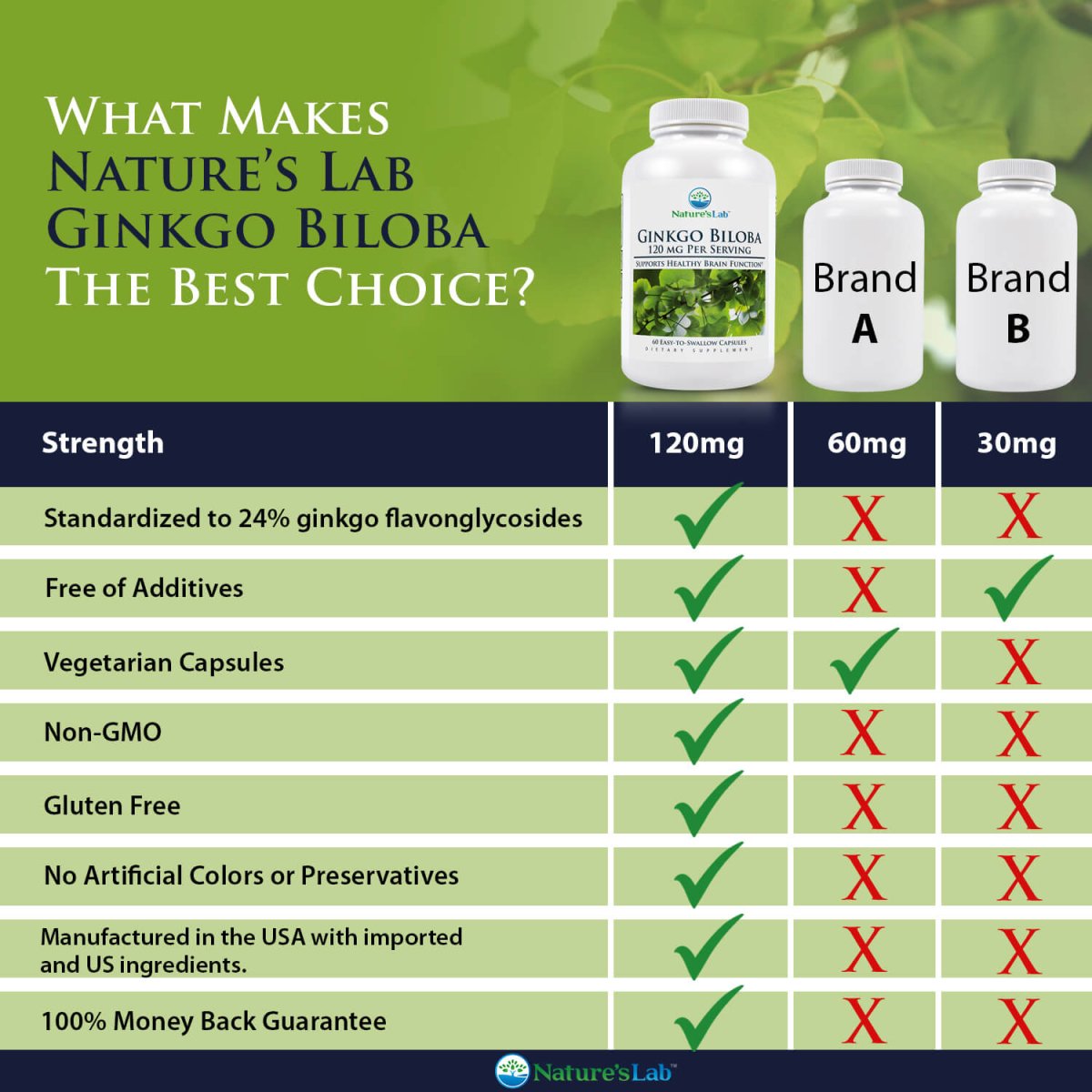 Nature's Lab Ginkgo Biloba - Promotes Healthy Brain Function*
