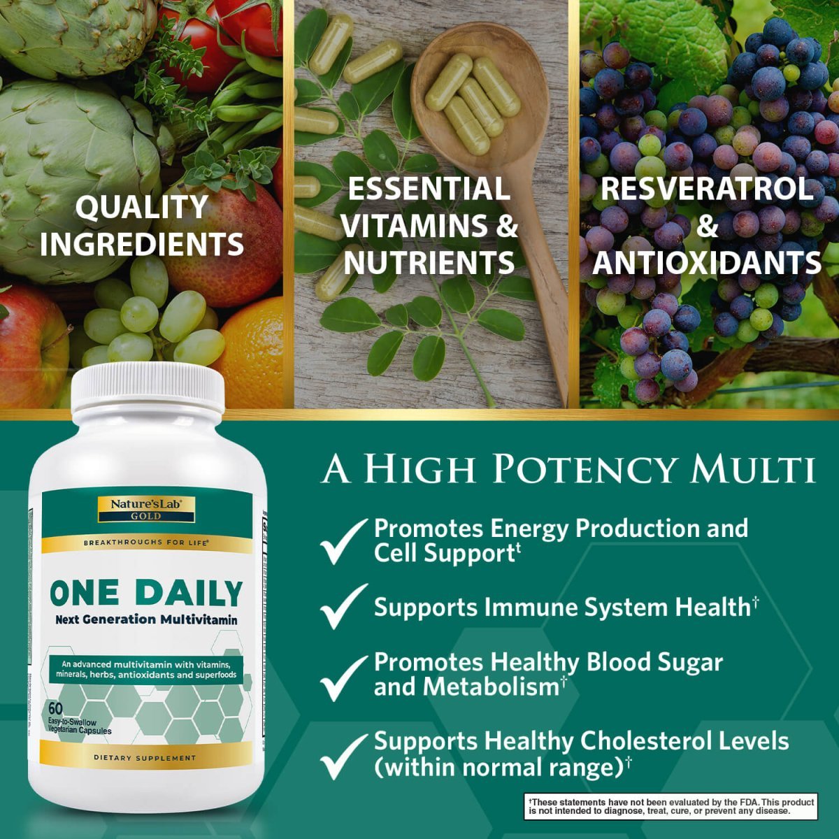 One Daily Multivitamin | Multivitamin Capsules – Nature's Lab